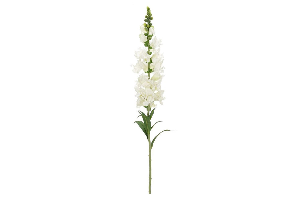 WHITE SNAPDRAGON STEMS | Alice Lane Home Collection